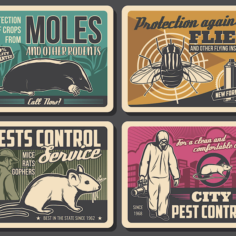 Pest Control Denver | Animal Removal Services | Exterminator