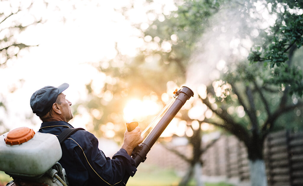 Pest Control Denver | Animal Removal Services | Exterminator